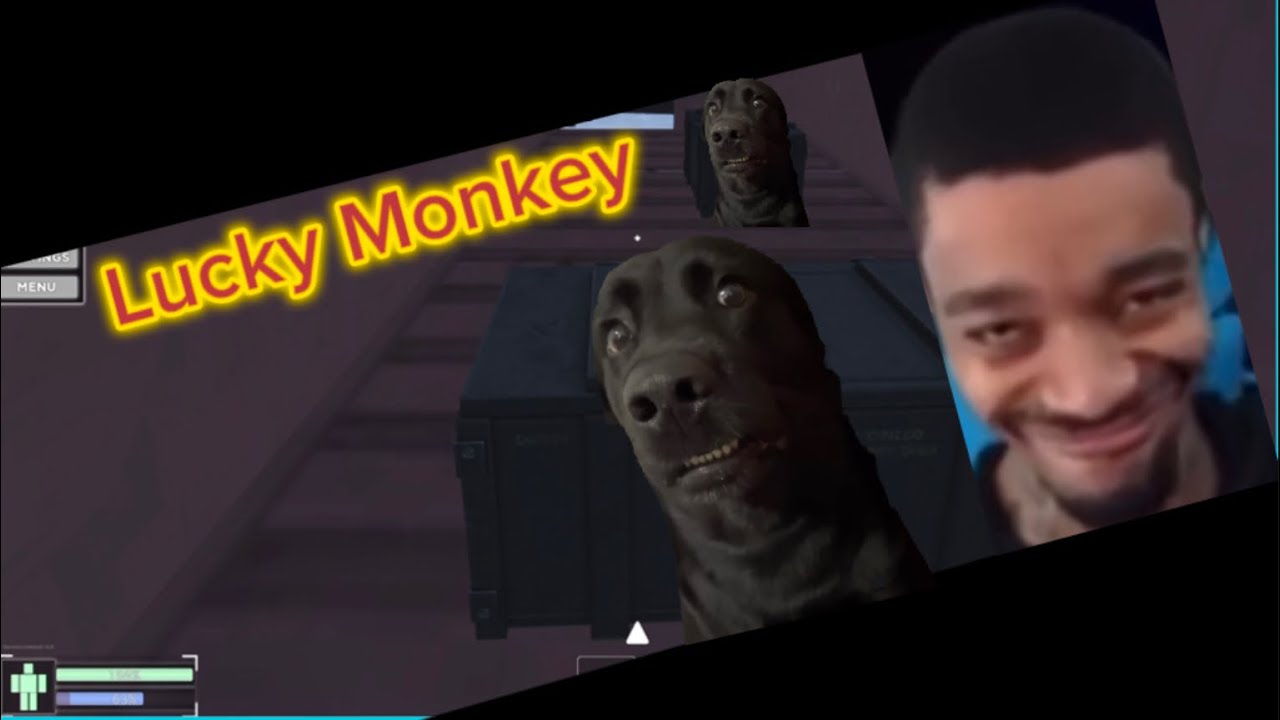 Lucky monkey - YouTube