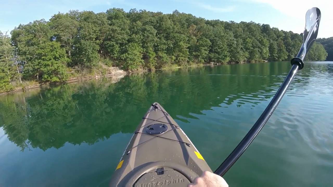 Long Tailed Weasel Swimming Across Prettyboy Reservoir - YouTube