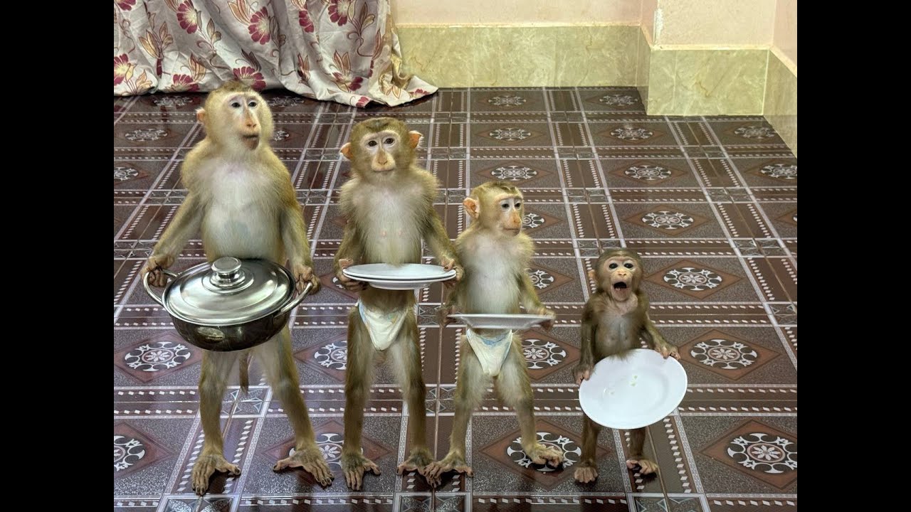 4 Siblings Very Genius Walk To Take Mysterious Dinner To Eat With Mom ...