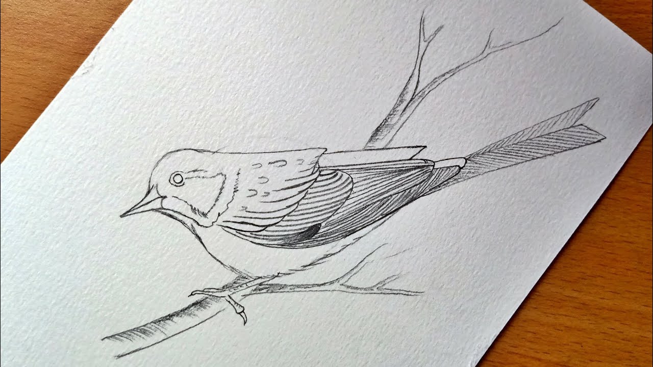 Simple Bird Line Drawing
