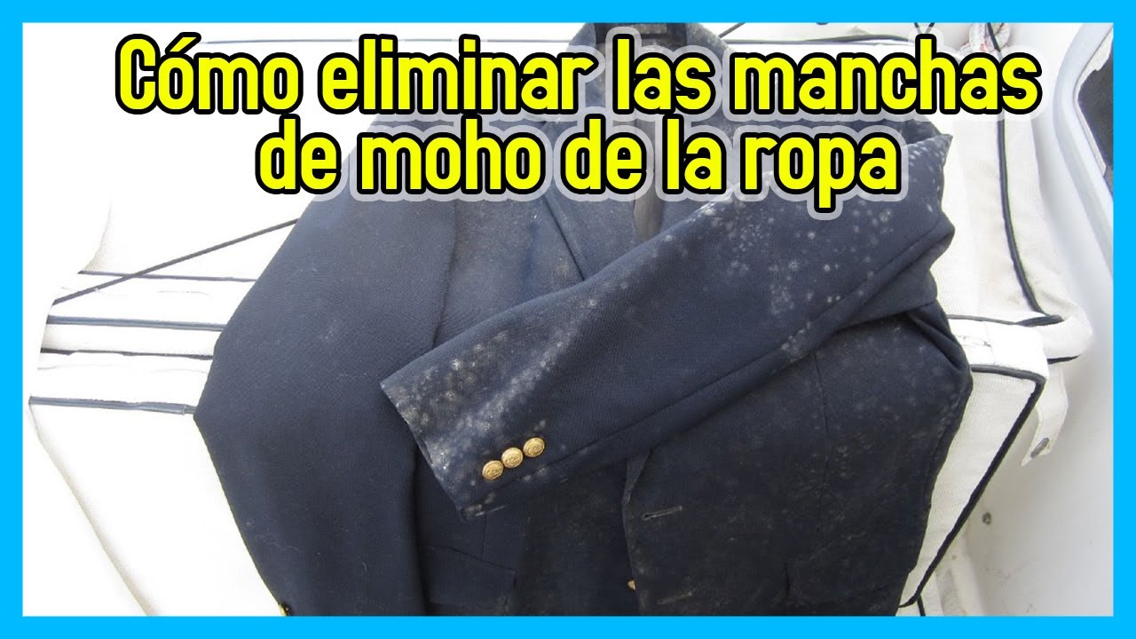 Cómo eliminar las manchas de moho de la ropa - YouTube