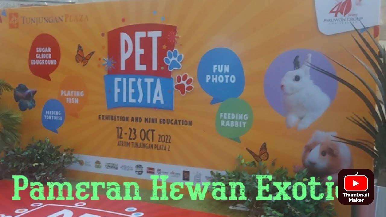 Pet Fiesta, Pameran hewan exotic & peliharaan, di Tunjungan Plaza 2 ...