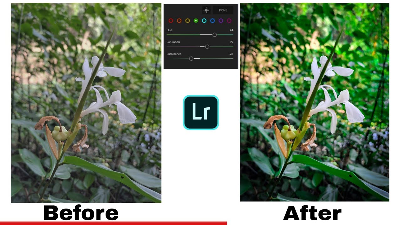 Lightroom tutorial | Mobile photo editing DSLR | DSLR Photo editing ...