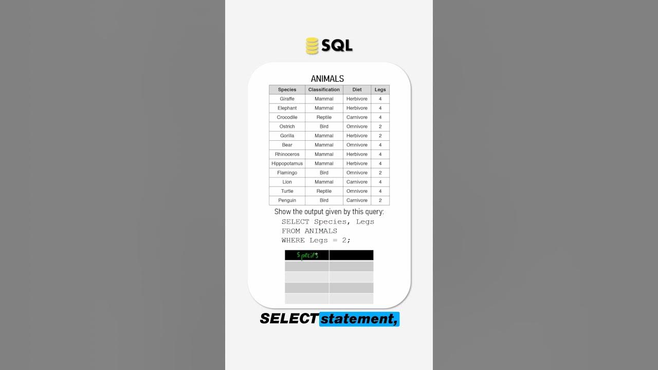 Displaying SQL SELECT output - YouTube