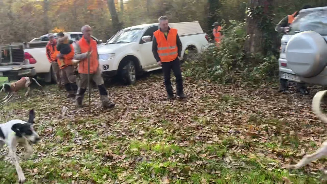 Allez go à la chasse avec mes amis pour une jolie partie de chasse ...