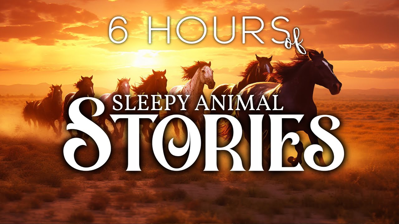 6 HOURS of Animal Bedtime Stories - YouTube