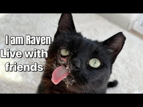 I Am Raven is live - YouTube
