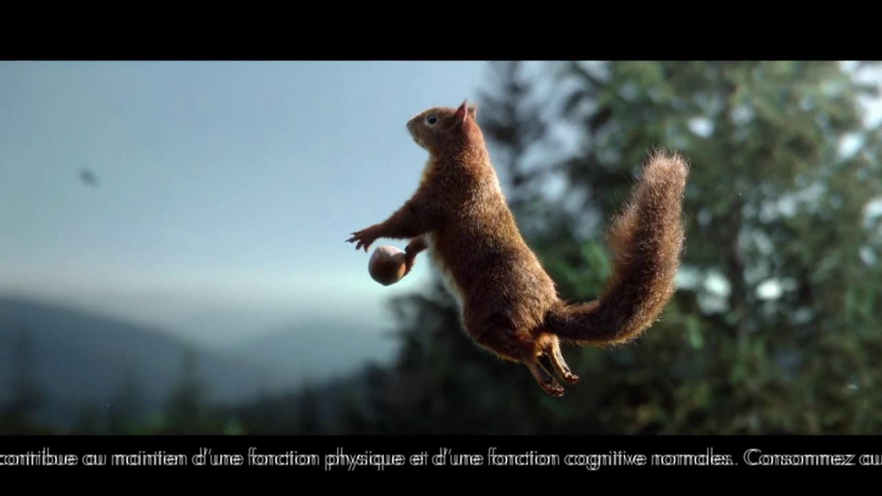 Vittel - l'écureuil "source naturelle de vitalité" Pub 30s - YouTube