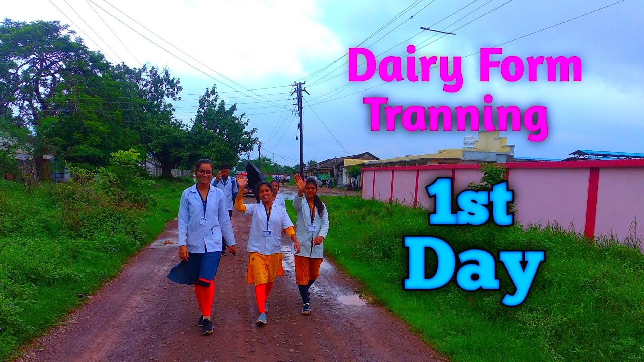 Dairy Form 1st Day tranning || #dairy form || #1st vlog|| Durg ...