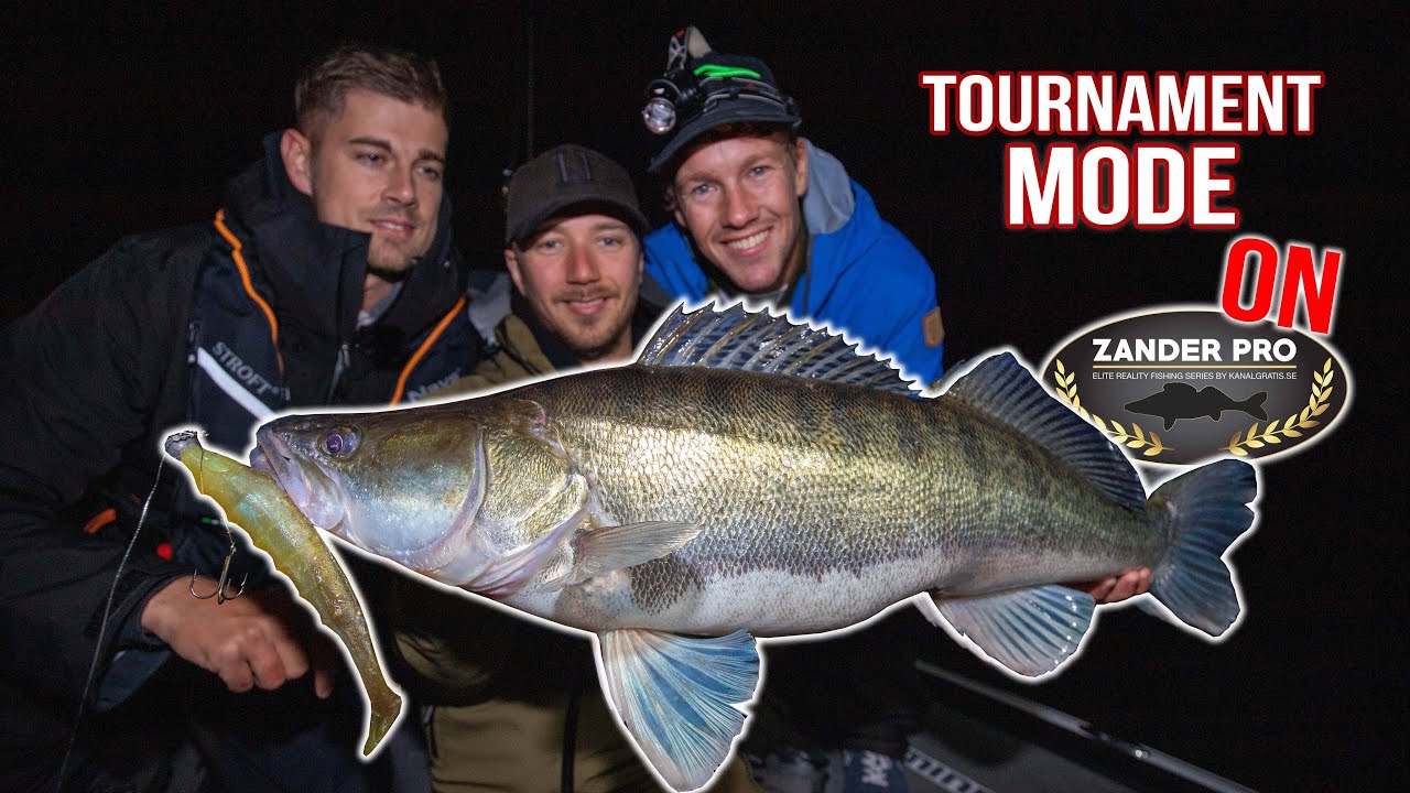 Ist das sein neuer ZANDER-REKORD? Wir fangen dicke Zander die ganze ...