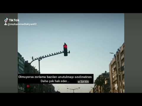 Olmuyorsa zorlama 2020