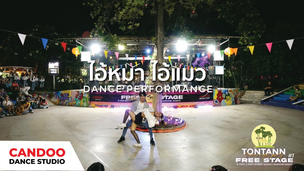 'ไอ้หมา ไอ้แมว' - Dance Performance @Tontann Freestage 2 | CANDOO Dance ...