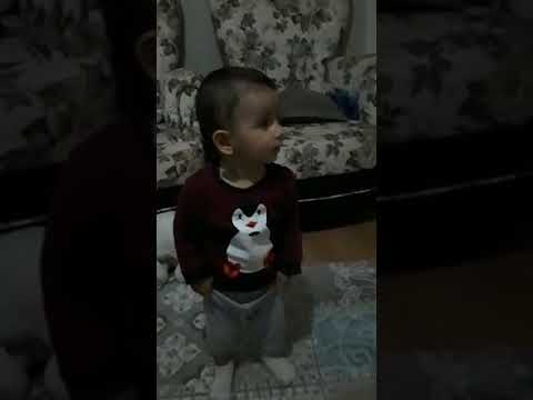 Ege erik dalı oynuyor