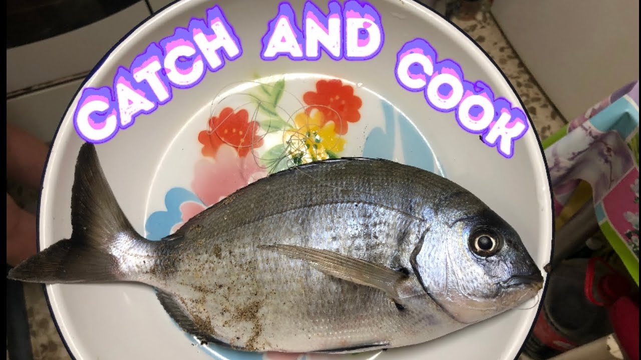 Sargo XL receta deliciosa Catch & Cook - YouTube