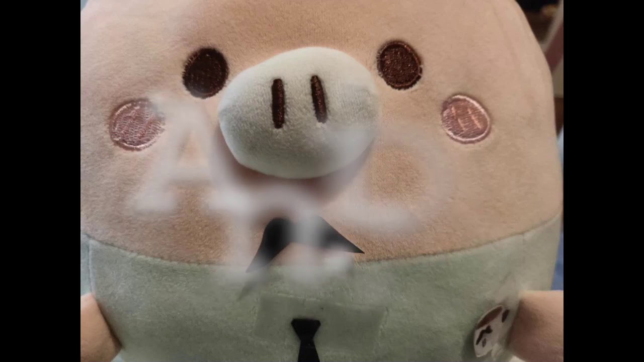 SPECIAL EDITION!!!|Photography video by Joyce Meng - YouTube