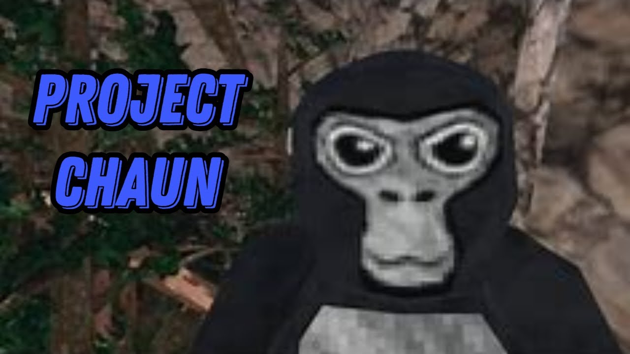 Is This Better Then Normal Gtag | Project Chaun - YouTube