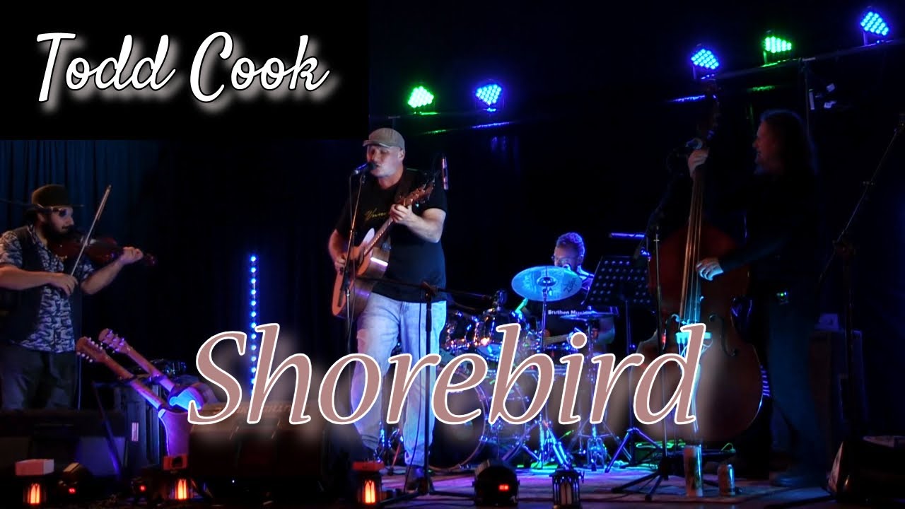 Todd Cook - Shorebird (live 04.07.2025) - YouTube