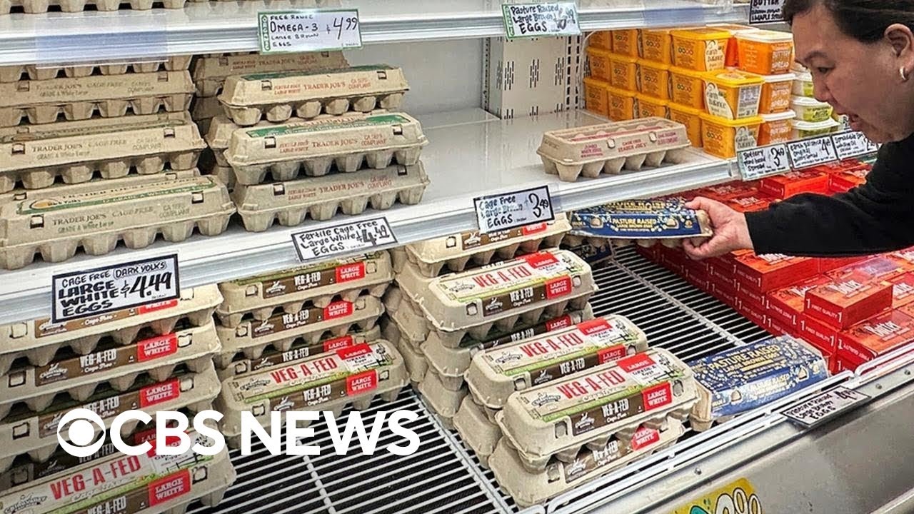 Bird flu, supply shortages keeping egg prices high - YouTube