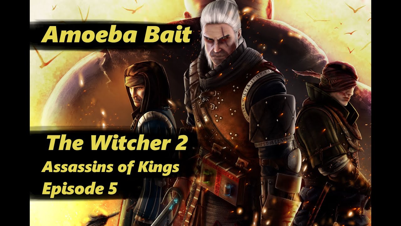[Amoeba Bait] *rubs 11 herbs and spices on blade* - The Witcher 2 ...