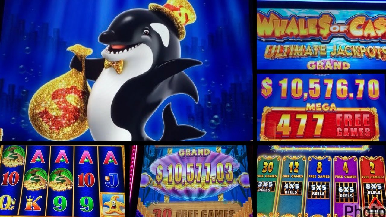 Whales of Cash Ultimate Jackpot Progressive Slot Machine. - YouTube