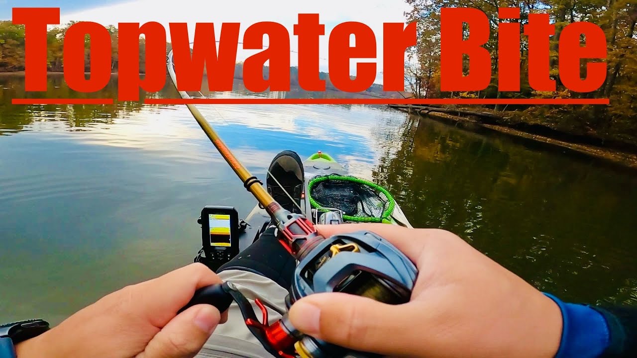 Got On A Few Topwater Bites This Morning High Rock Lake Nc Buddle Creek