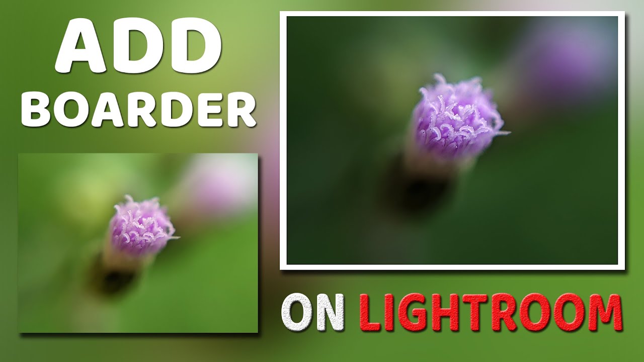 Unbelievable Way to Put a White Border on Your Photos in Lightroom 2023 ...