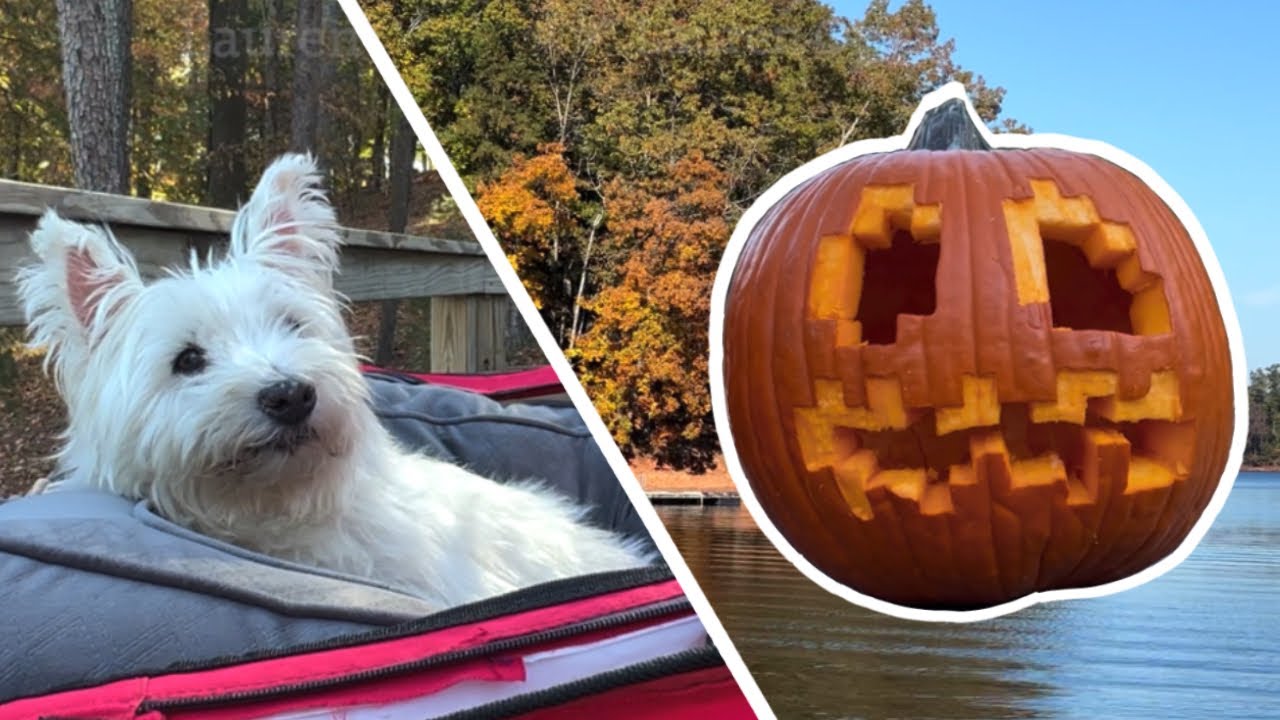 camping vlog + pumpkin carving | 1 - YouTube