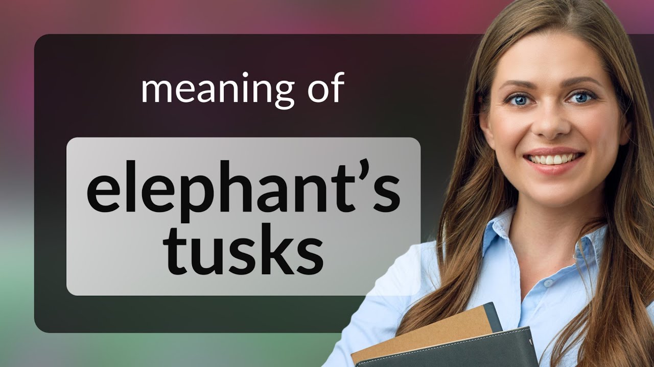 Understanding "Elephant's Tusks": A Guide to English Idioms - YouTube