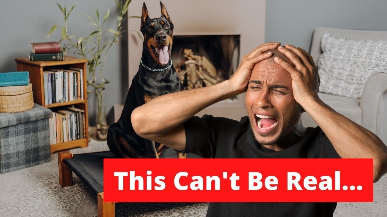 The Choking Doberman Urban Legend (Vet Bill $3487...Damage to Robber ...