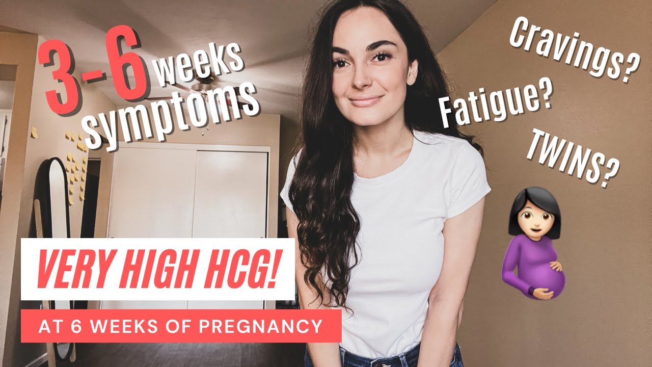 3-6 WEEKS PREGNANCY SYMPTOMS // Very High HCG at 6 Weeks - YouTube