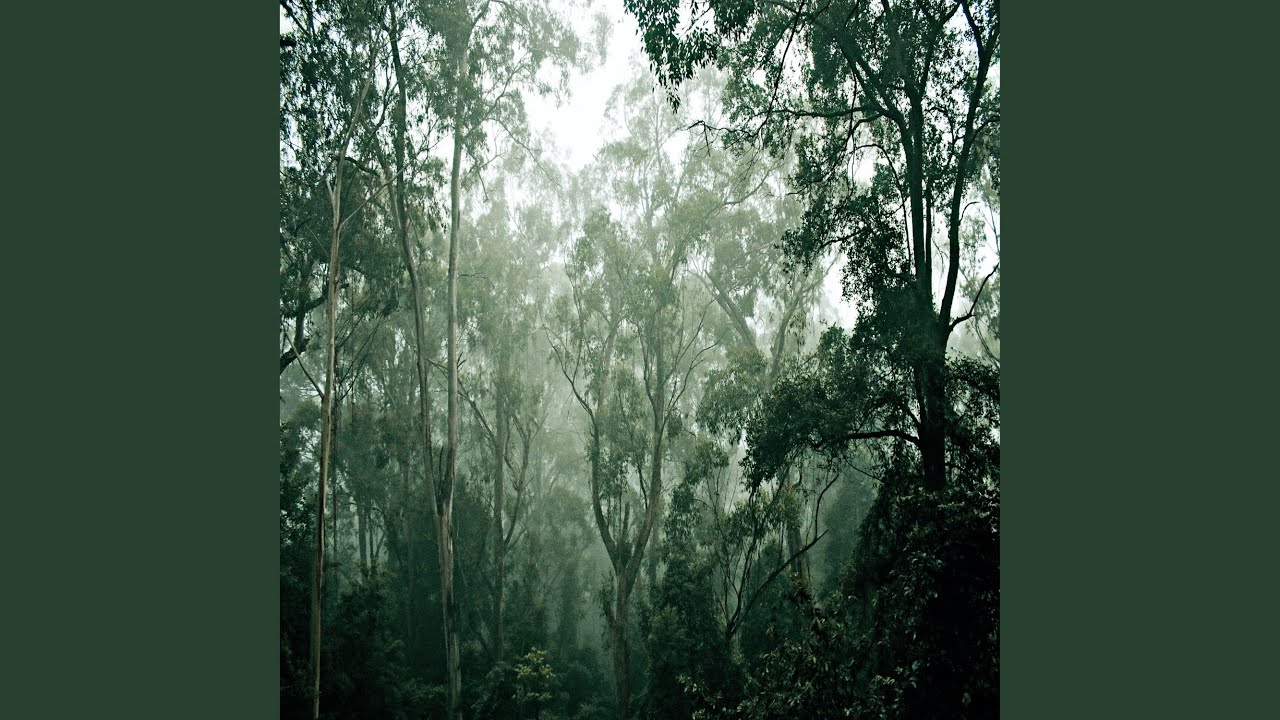 Peaceful Jungle - YouTube