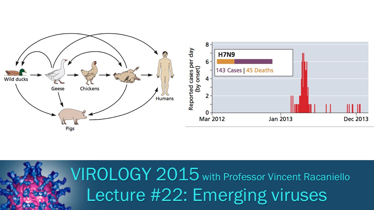 Virology 2015 Lecture #22: Emerging viruses - YouTube