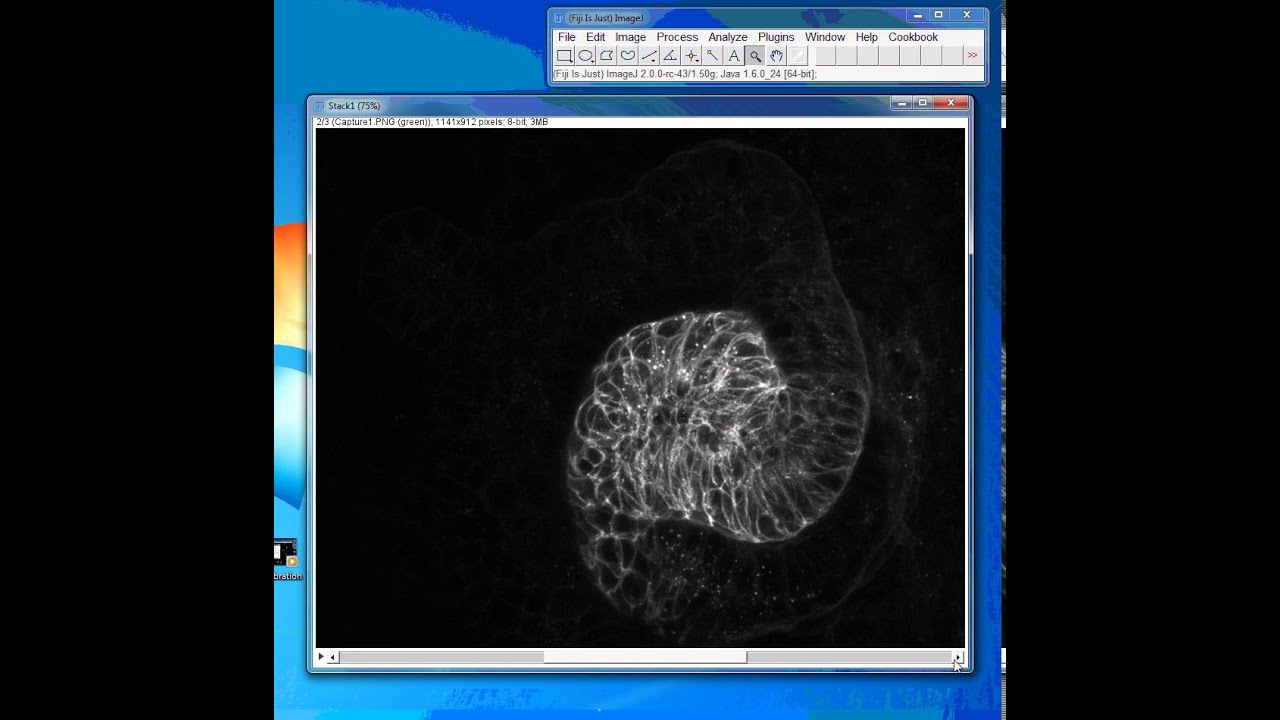 Imagej Make Montage Youtube