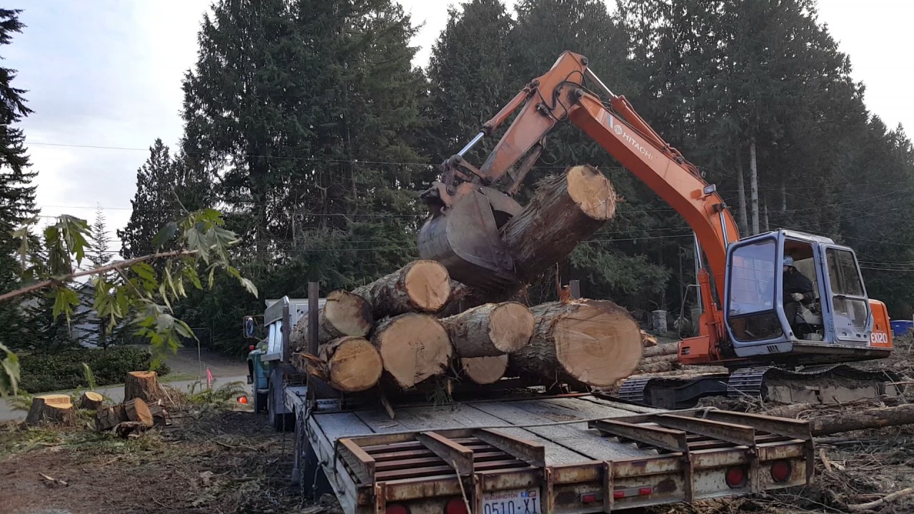 excavator loading logs gyppo style - YouTube