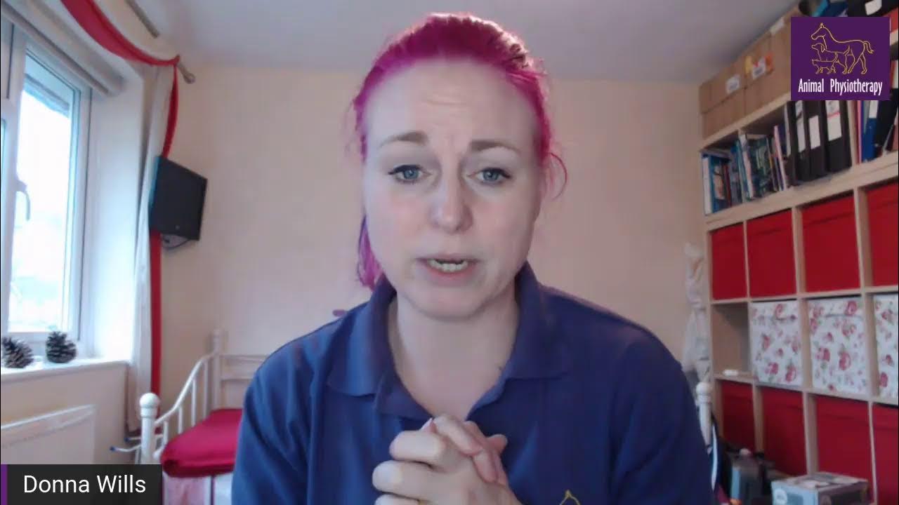What Is An End Of Life Plan YouTube what-is-an-end-of-life-plan-youtube