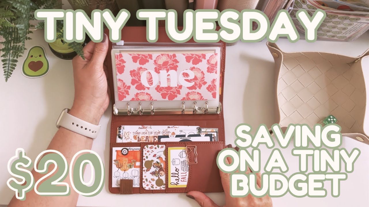 🥑 TINY TUESDAY $20 | Fun Way To Save On A Tiny Budget | Nov Week 1 ...
