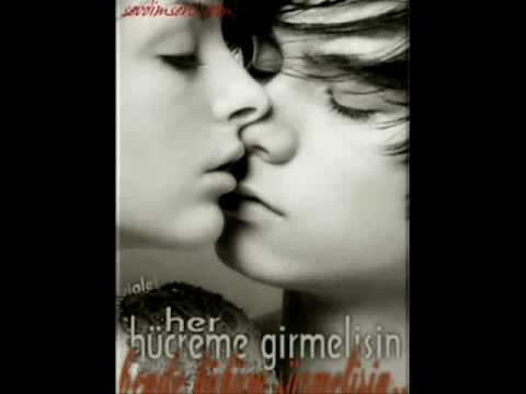 aYSeL-DoGaN