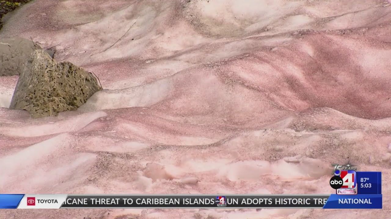 Out of this world! Watermelon snow turns Utah mountain peaks red - YouTube