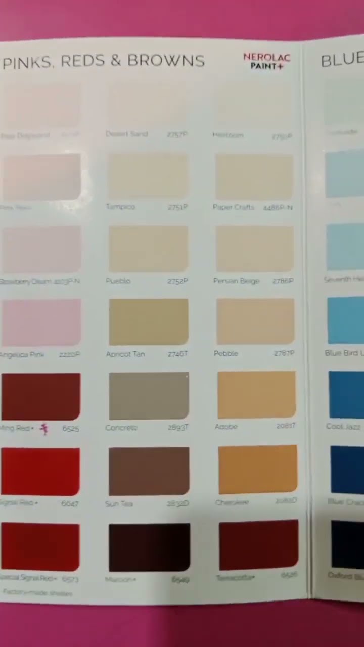 Nerolac paint+ Exterior color set card #please subscribers - YouTube