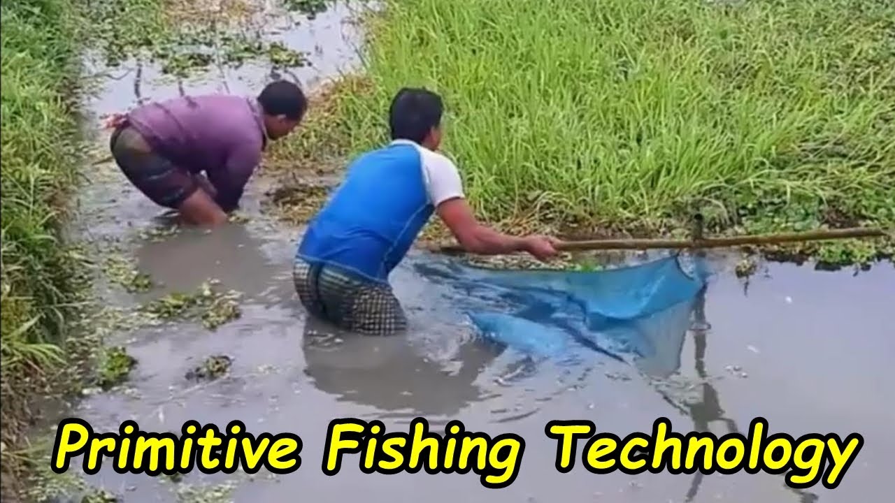 Primitive Fishing Technology: Believe This Fishing? Amazing Fish ...