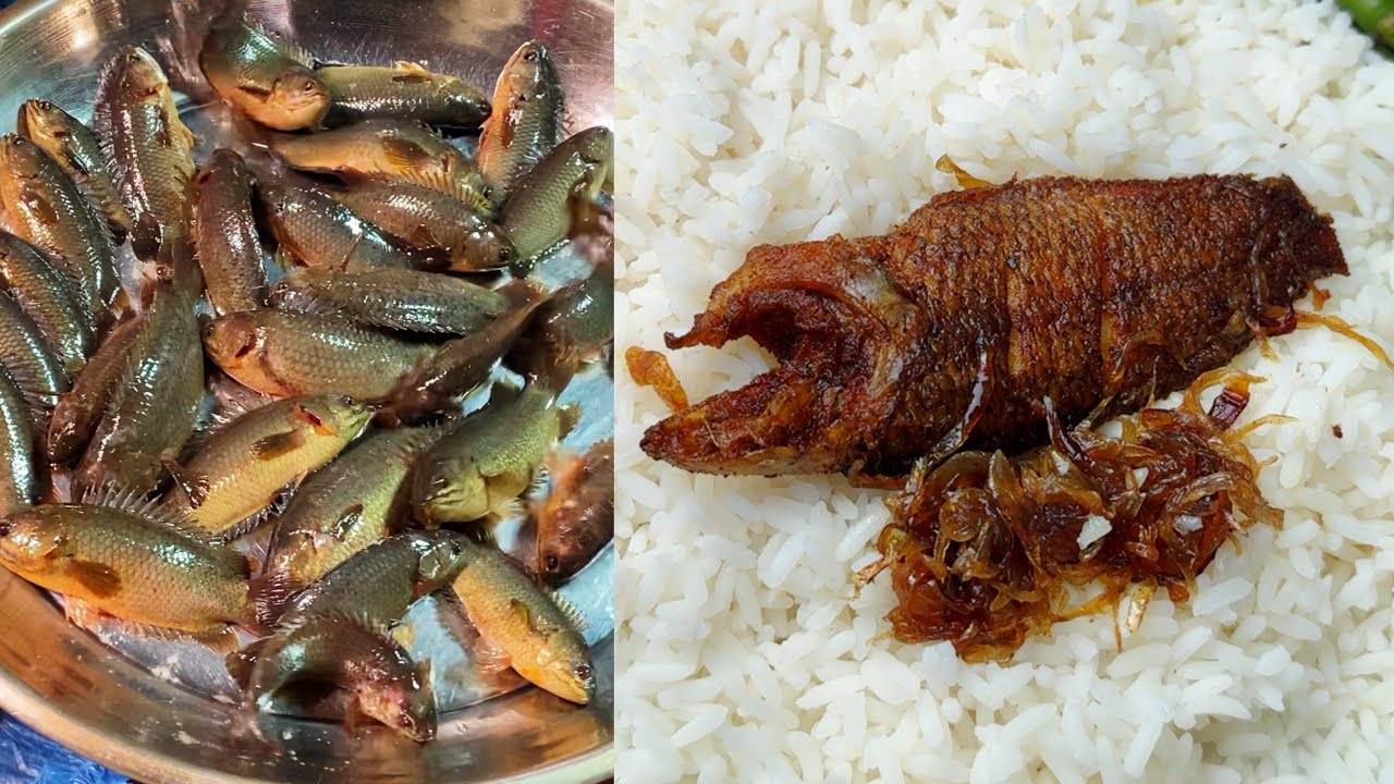 Eating Koi Fish Do Peyaja With Rice - YouTube