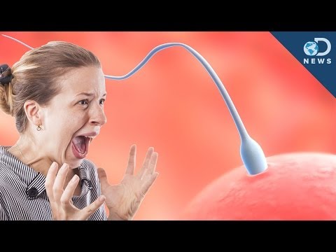 How Trauma is Passed Down Through Sperm