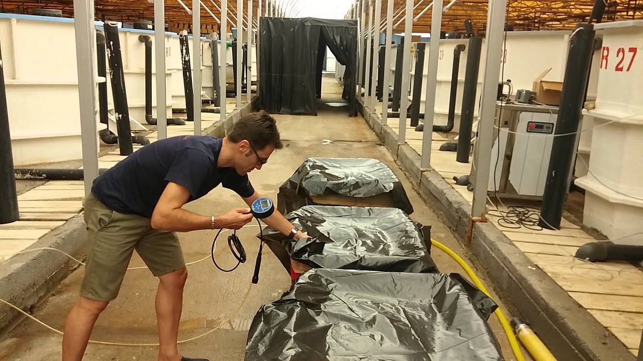 Sedanol in transportation - YouTube