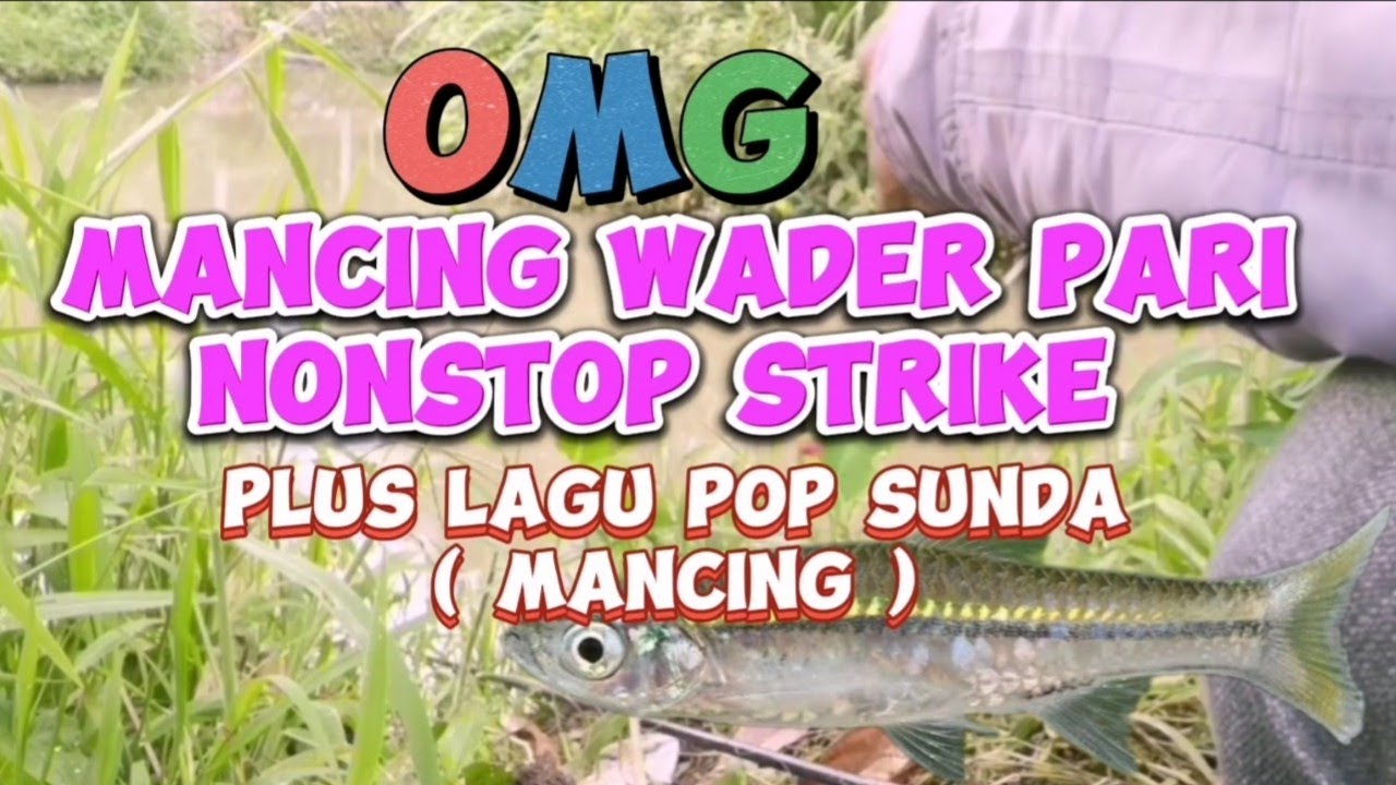 NONSTOP STRIKE MANCING WADER PARI PLUS LAGU POP SUNDA ( MANCING ) - YouTube
