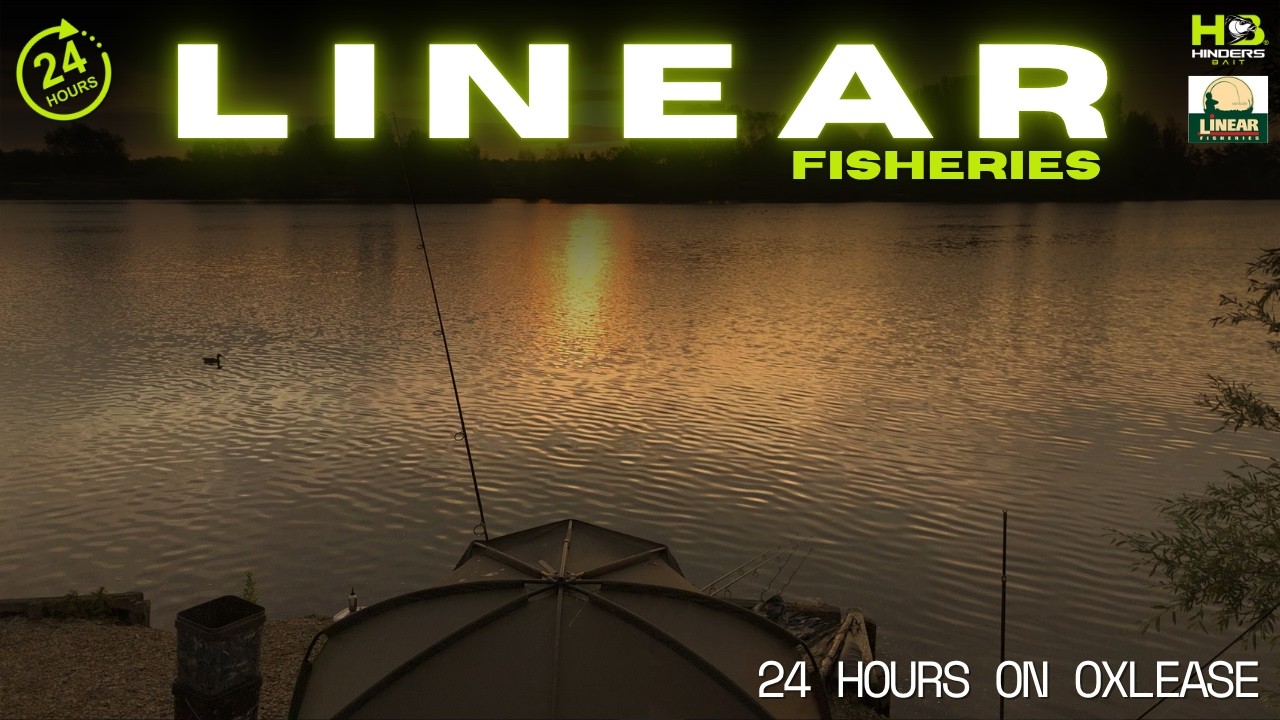 Chasing Carp at Linear: 48 Hours Across Oxlease & B2 - YouTube