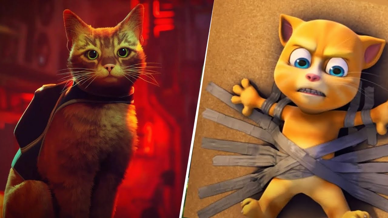 El Gato GINGER en la VIDA REAL PARTE 4, STRAY Little Kitten My Favorite ...