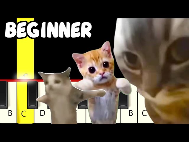 5 Famous Cat Songs - Slow and Easy Piano Tutorial - Beginner - Videos ...