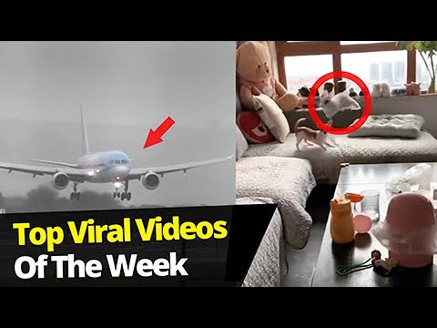 Top 10 Viral Videos Of The Month - January 2020 - YouTube