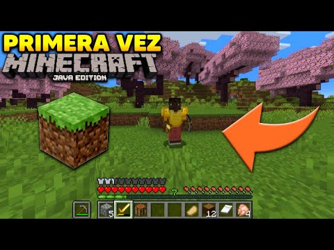 MI PRIMERA VEZ JUGANDO MINECRAFT JAVA SIENDO JUGADOR DE MINECRAFT BEDROCK 🔥 - YouTube