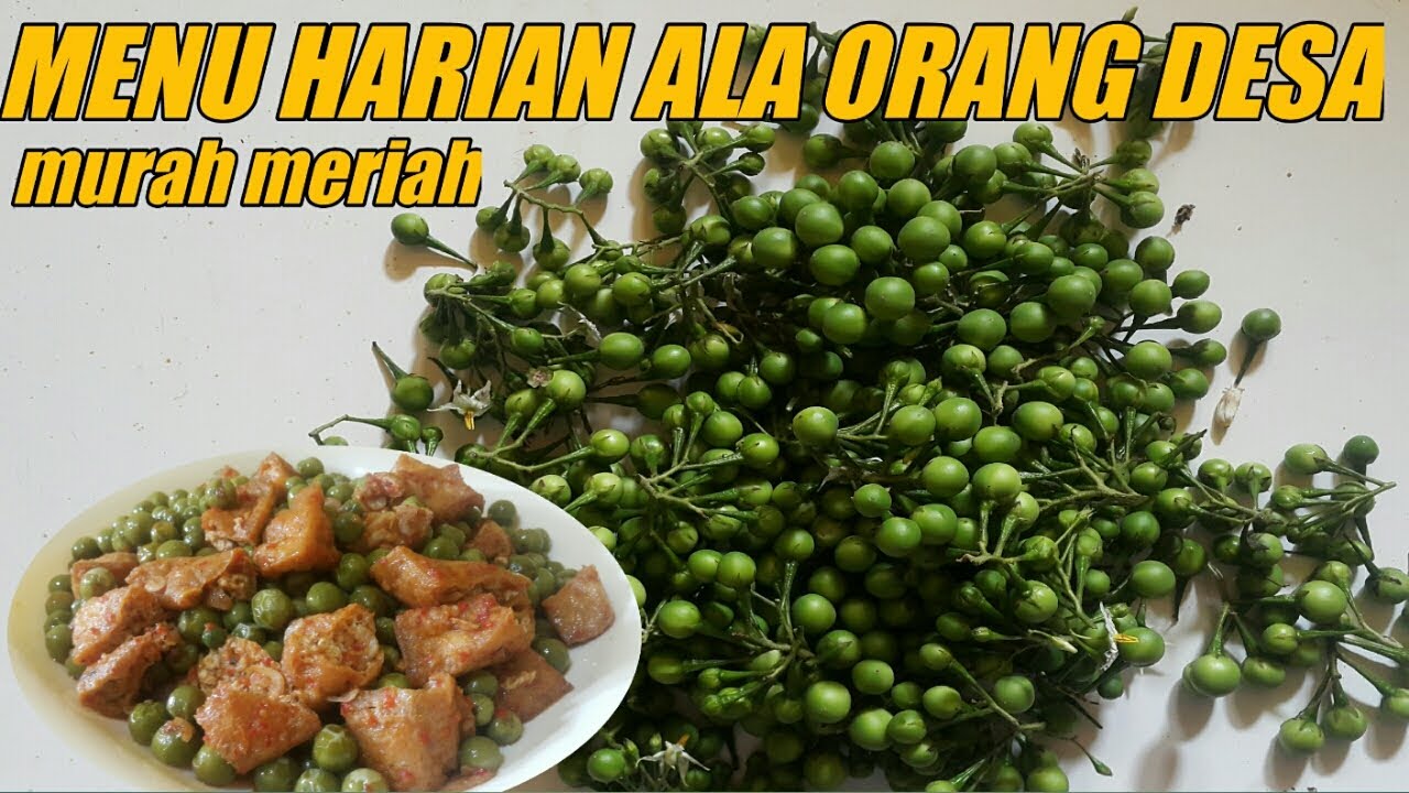 RESEP TUMIS CEPOKAK || MENU MURAH MERIAH || BAGUS UNTUK KESEHATAN MATA ...